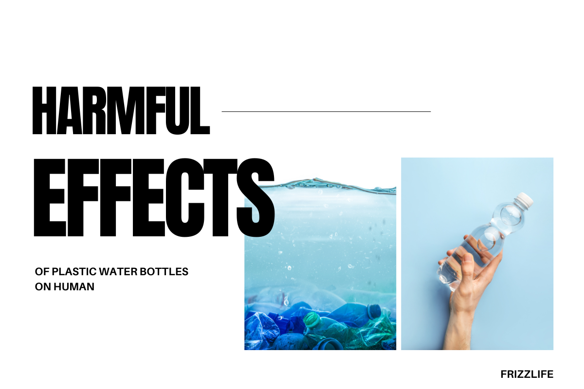 Harmful Effects of Plastic Water Bottles on Human – Frizzlife