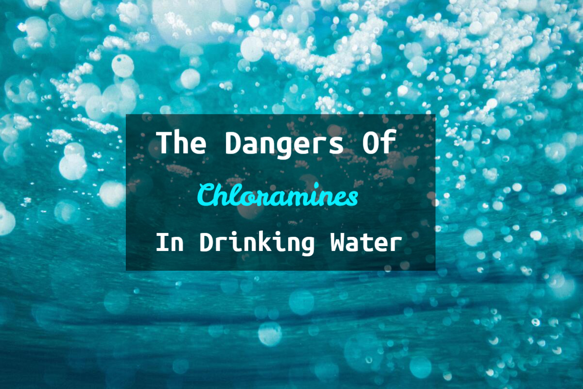 The Dangers of Chloramines in Drinking Water – Frizzlife