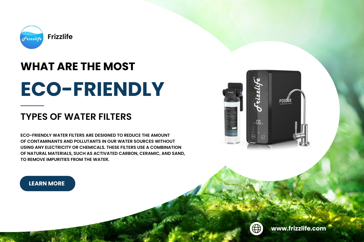 What are the most eco-friendly types of water filters – Frizzlife