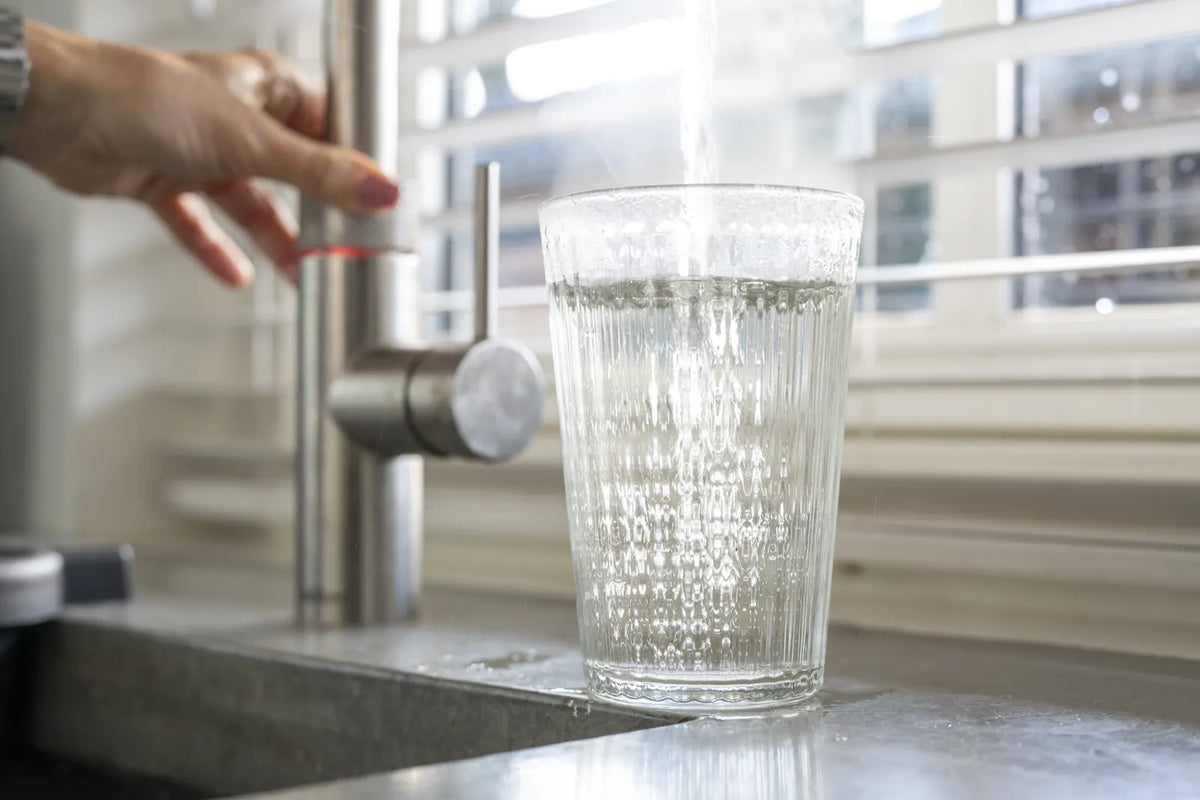 How Does Fecal Coliform Get Into the Water? The Risks of Coliform Bact ...