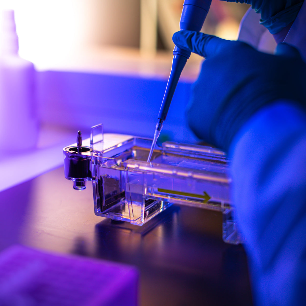 Does UV Light Help Drink Water? Actuall RO is Better – Frizzlife