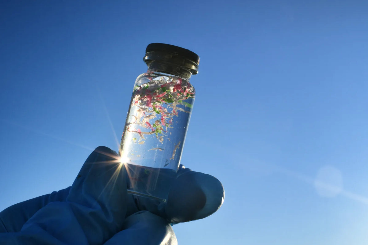 Microplastics in Bottled Water vs Tap Water: What to Know – Frizzlife